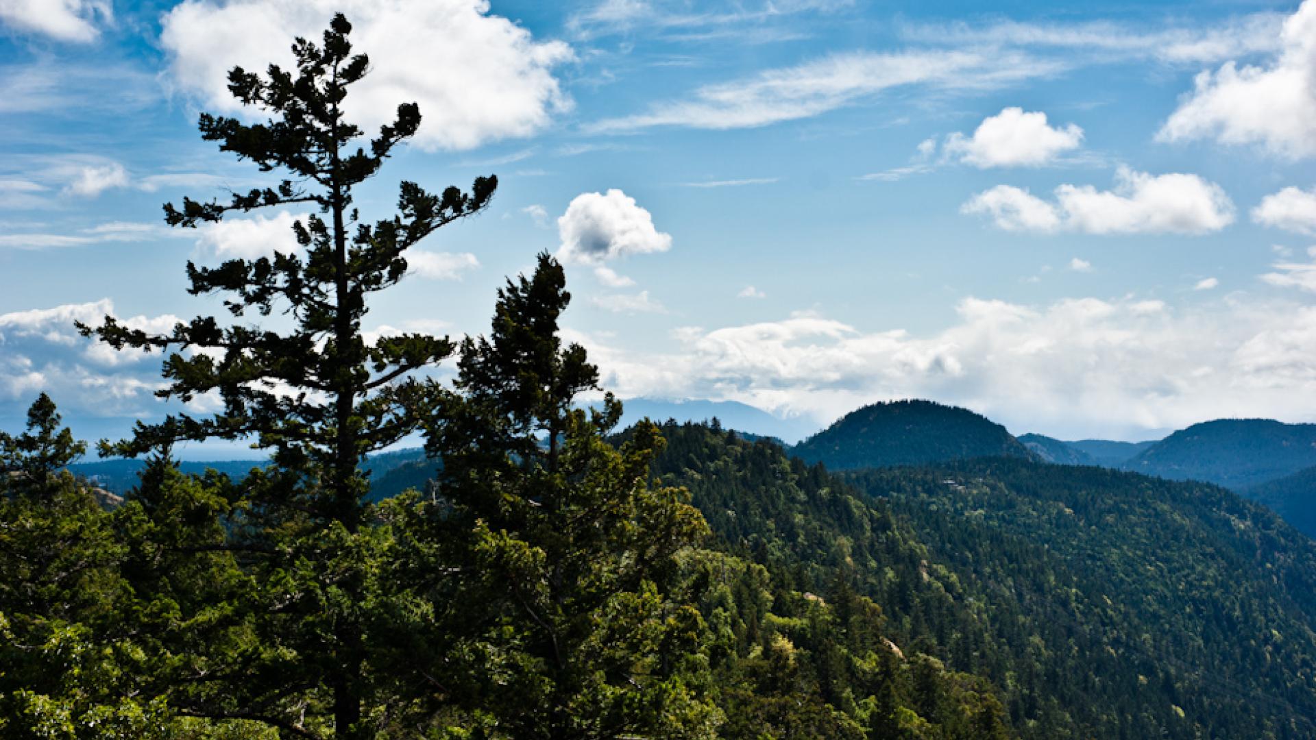 District of Highlands, BC | CiviKit